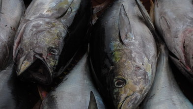 Federal Register :: Department of Defense Science and Technology ...